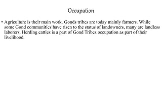 Tribes in INDIA | PPTX | Asia Travel | Travel Locations