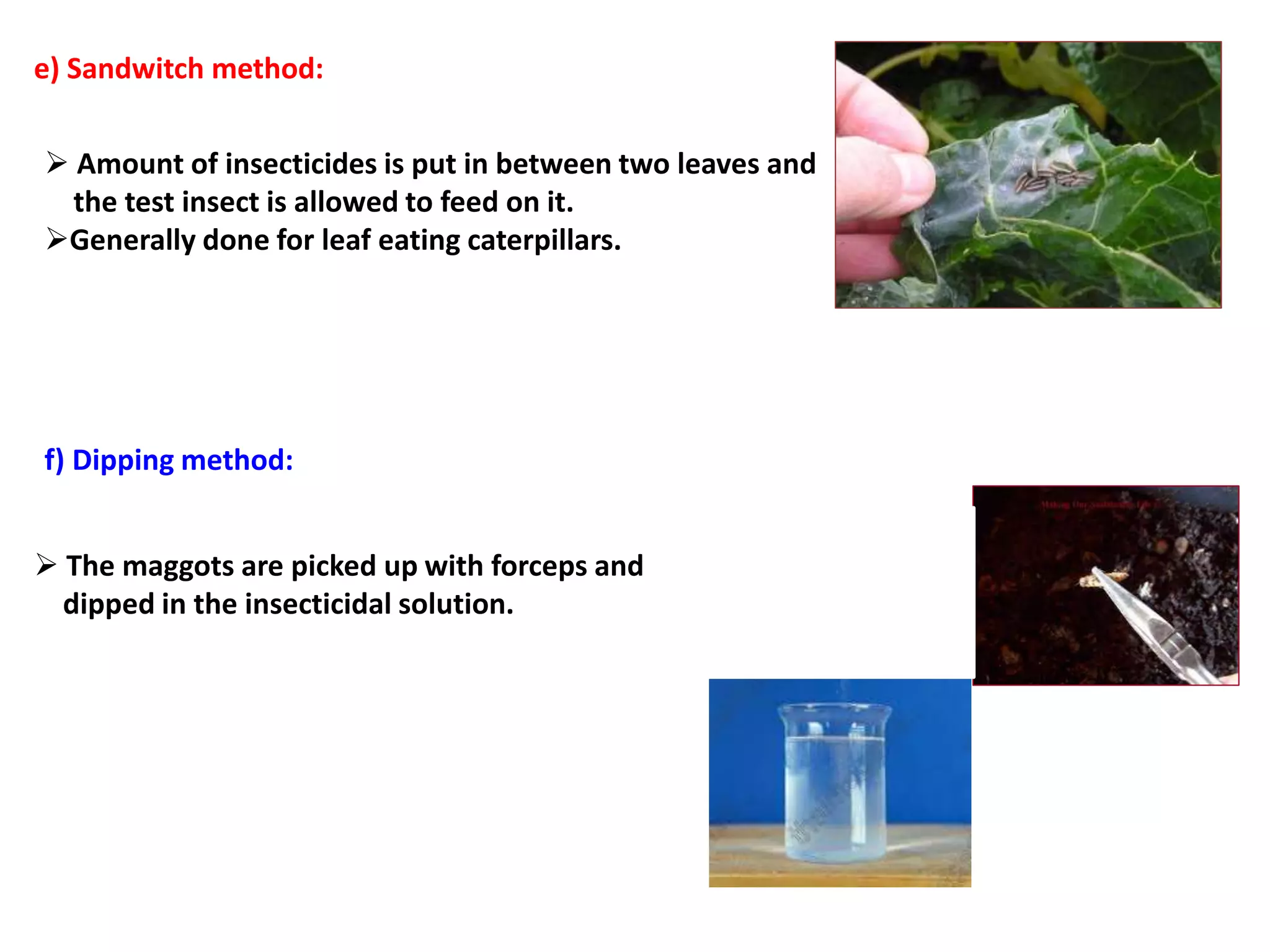 best ppt on principles of insect toxicology and evaluation of ...