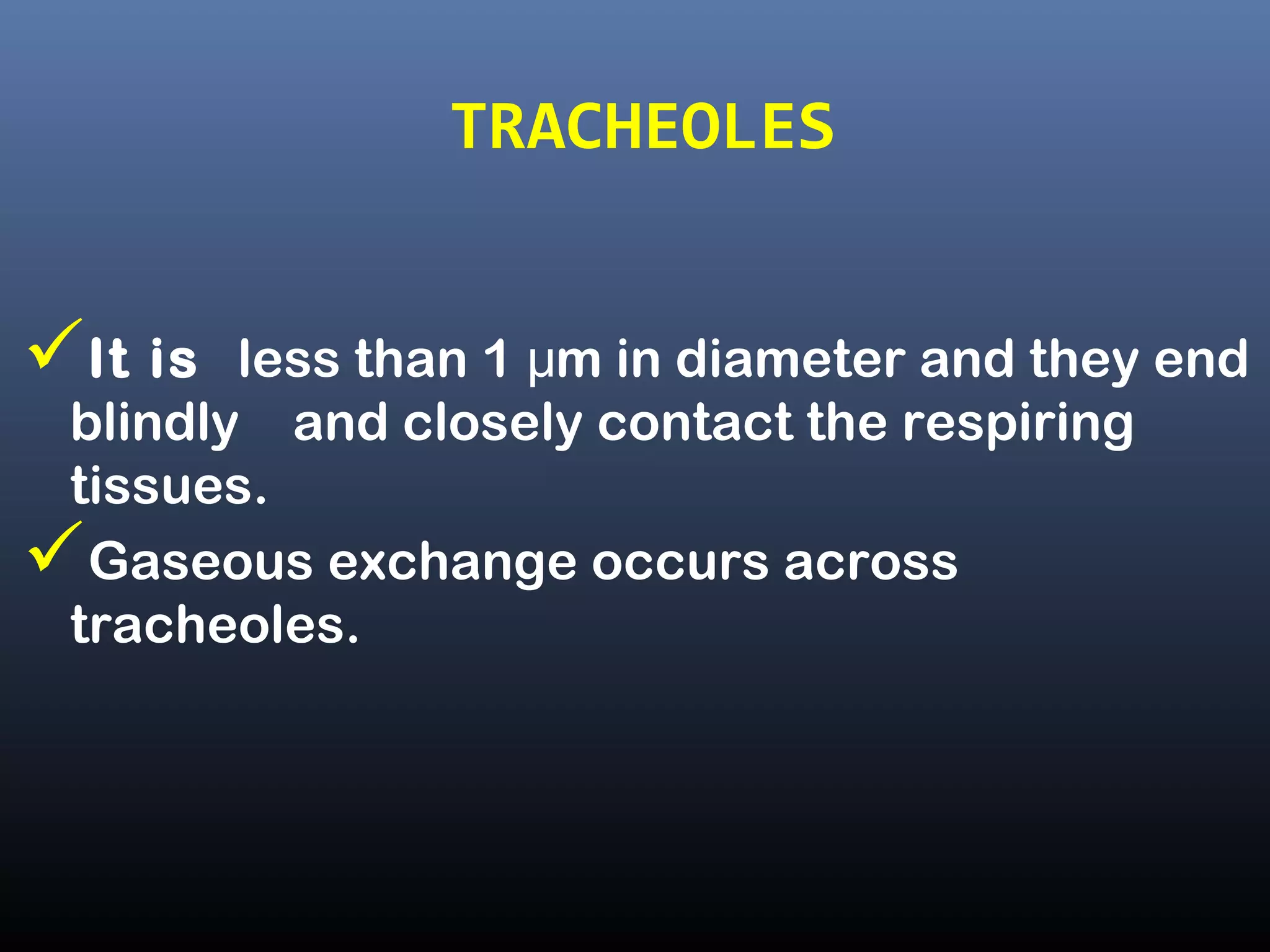 structure and function of insect respiratory system | PPT