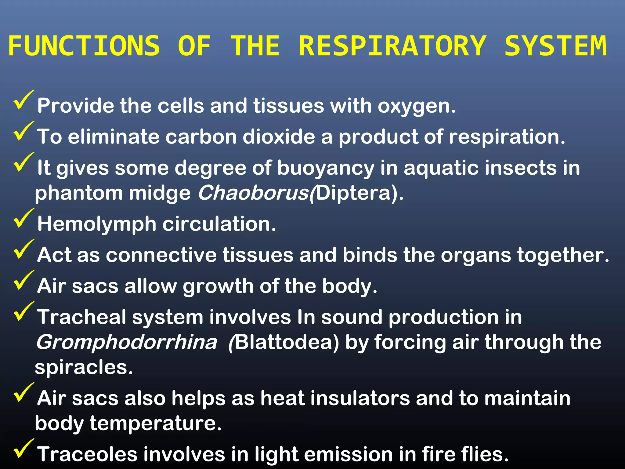 structure and function of insect respiratory system | PPT
