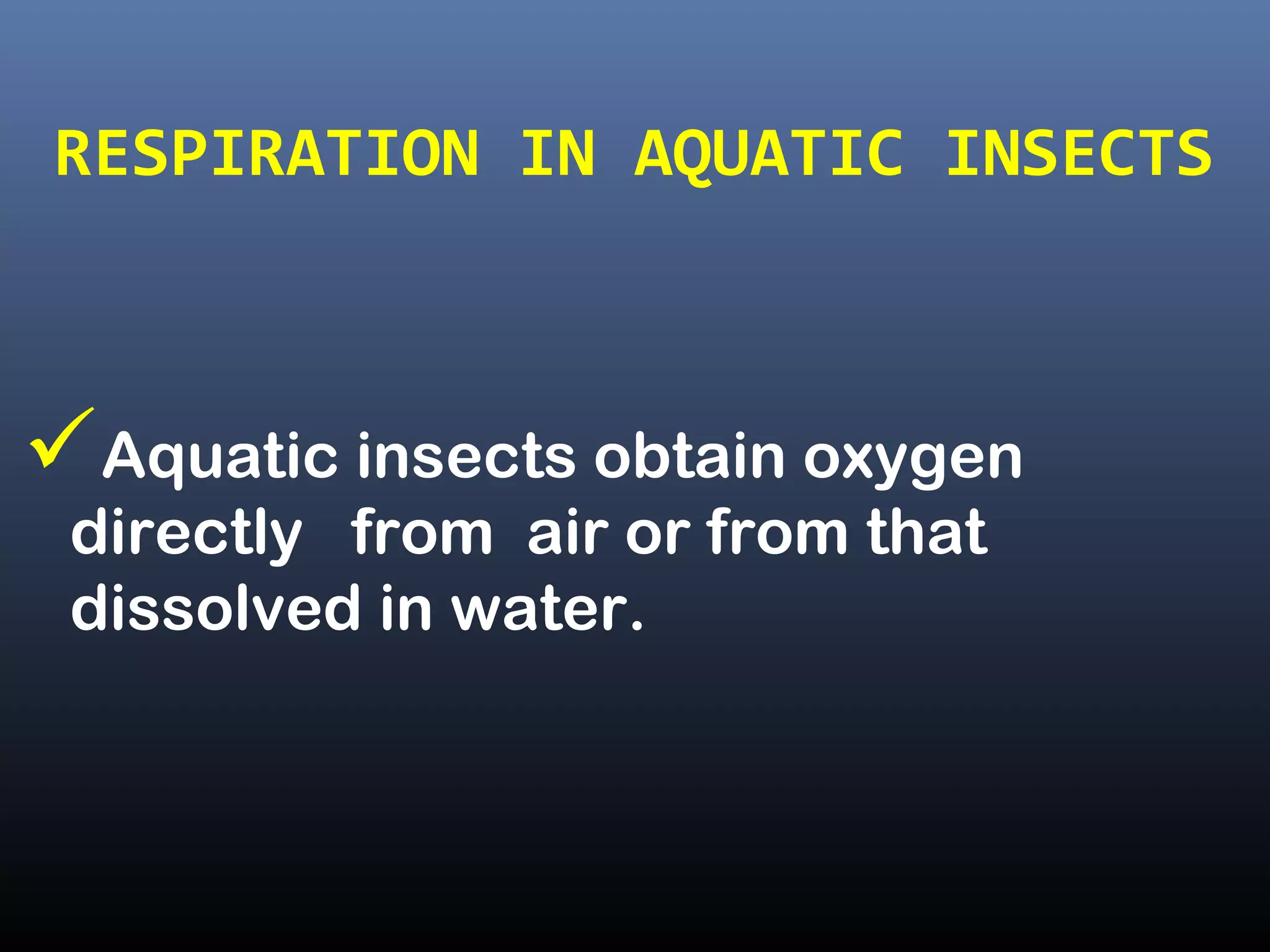 structure and function of insect respiratory system | PPT
