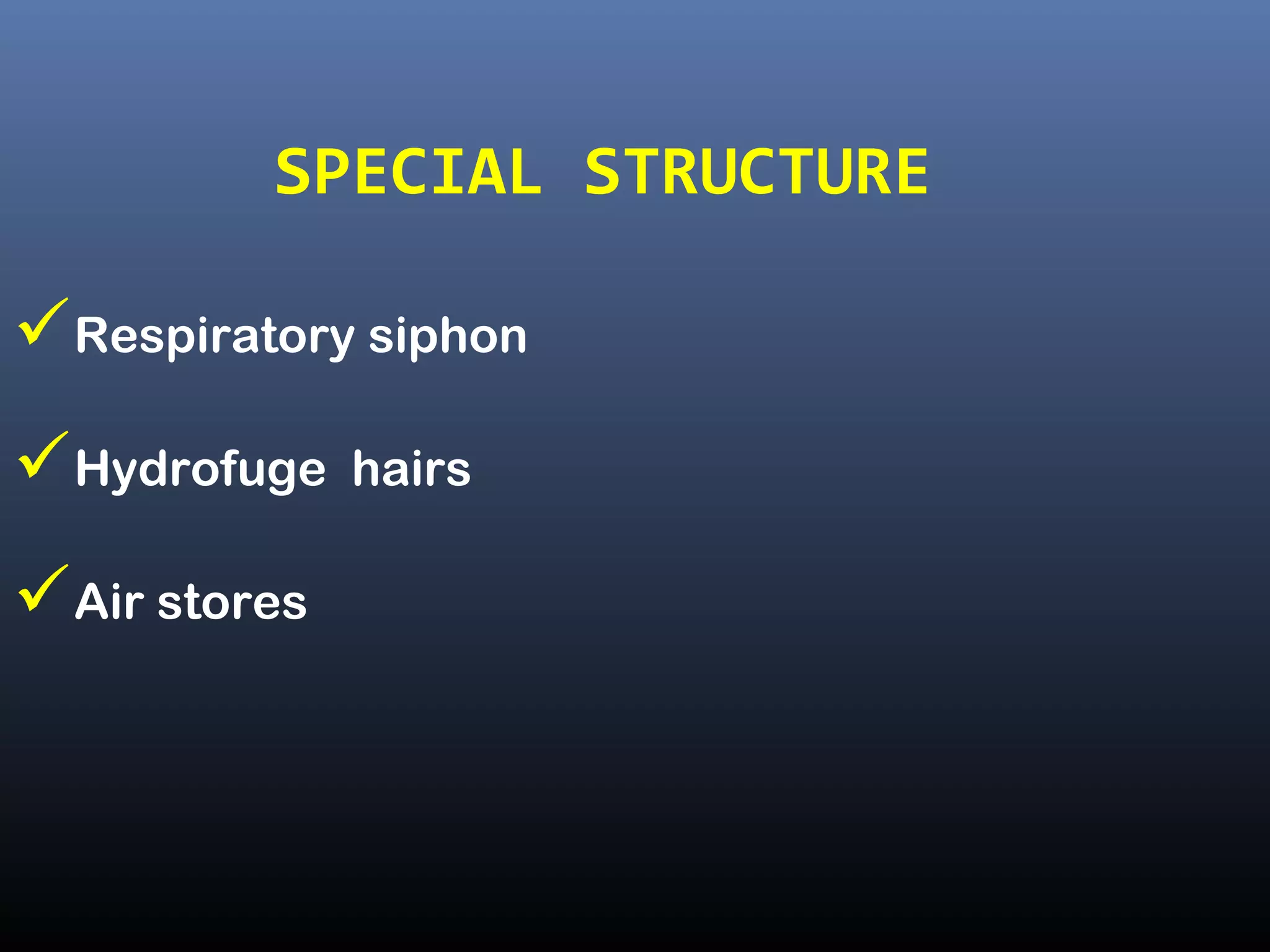 structure and function of insect respiratory system | PPT
