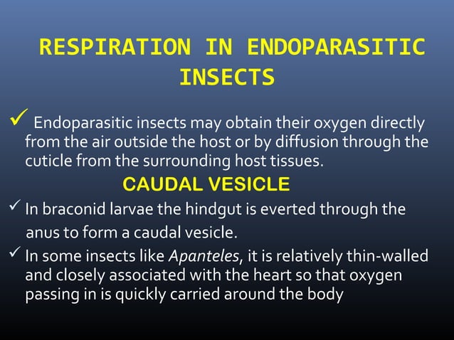 structure and function of insect respiratory system | PPT
