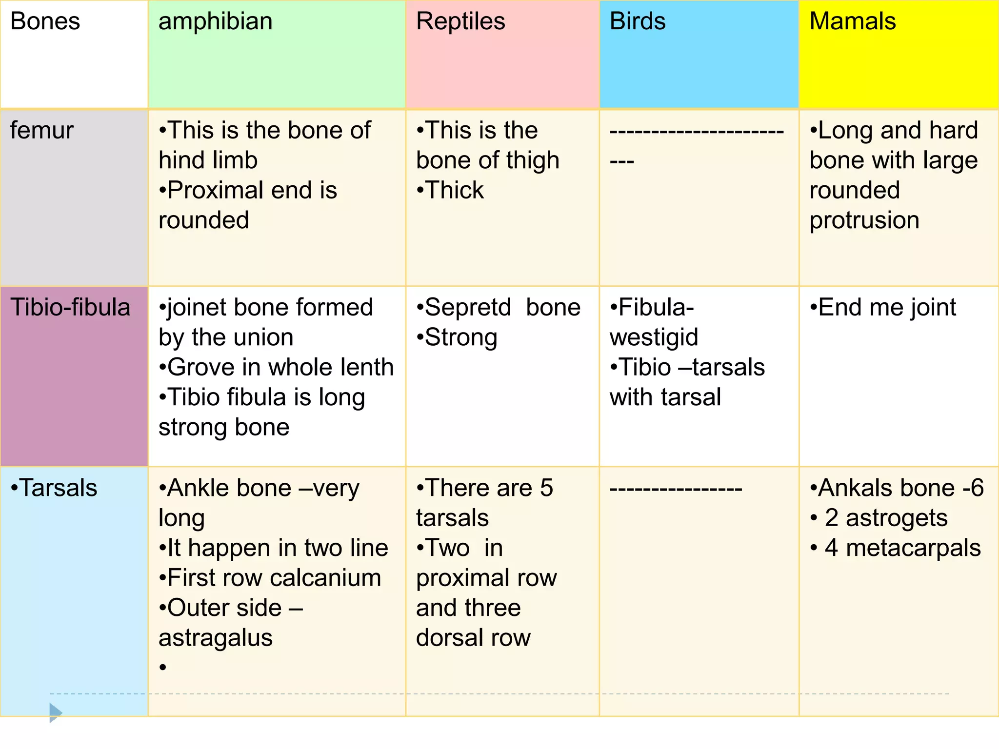Comparetive account of limb fore limb and hind limb | PPTX
