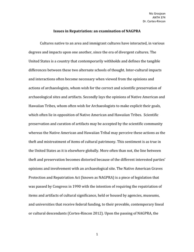 Nagpra representative work | PDF