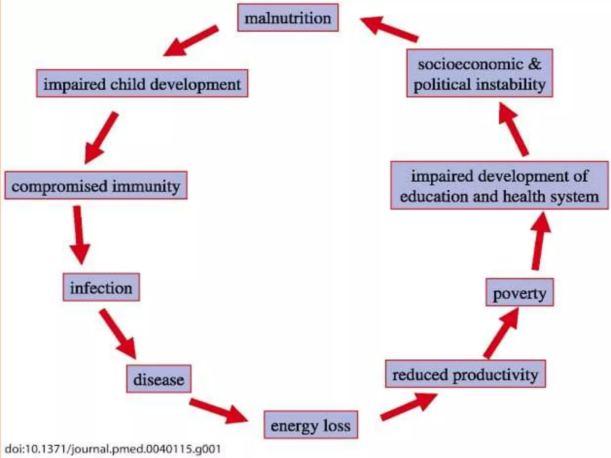 BIOFORTIFICATION : A SUSTAINABLE AGRICULTURAL STRATEGY FOR REDUCING MALNUTRITION | PPTX