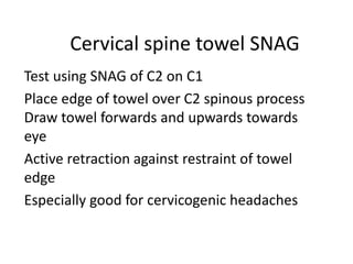 Nags and Snags.pptx | Physical Therapy | Wellness