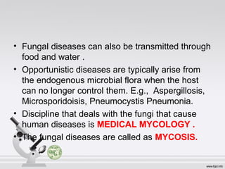 Human Diseases Caused By Fungi