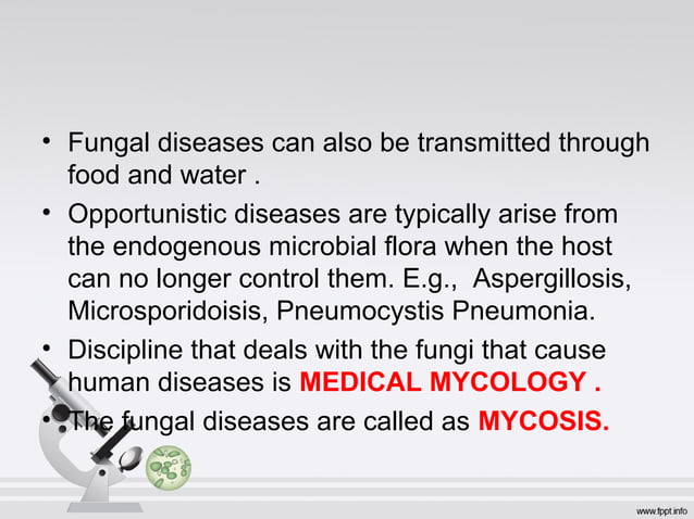 fungal diseases in humans and animals | PPT