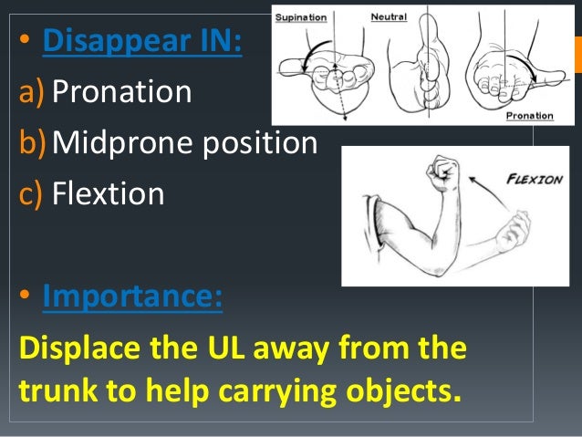 Nagwa el nefiawy elbow & radioulnar joints