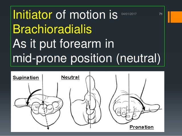 Nagwa el nefiawy elbow & radioulnar joints