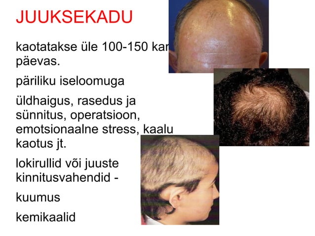 Nahahaigused | ODP