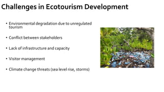 Ecosystem services and livelihood options through responsible ...
