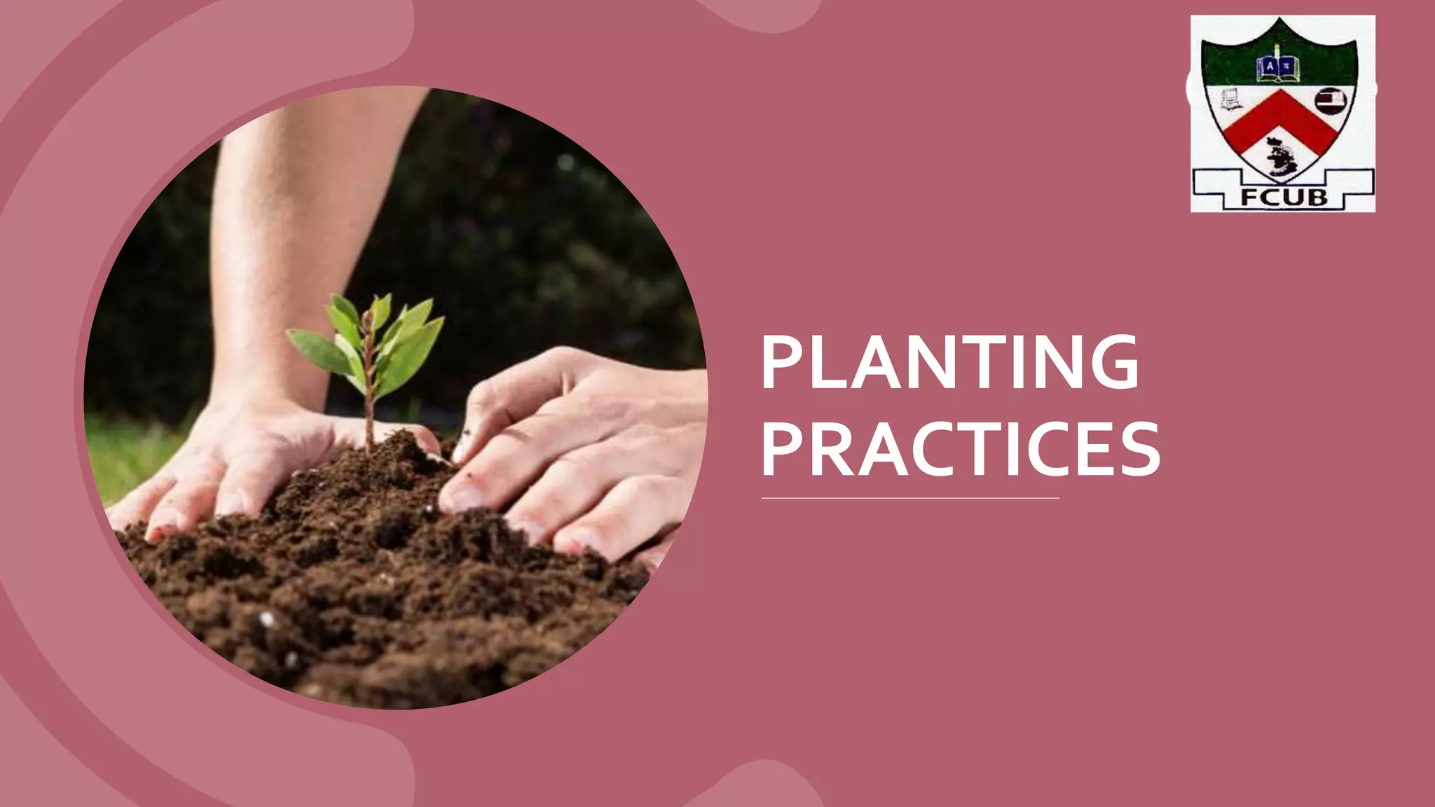 planting practices | PPT