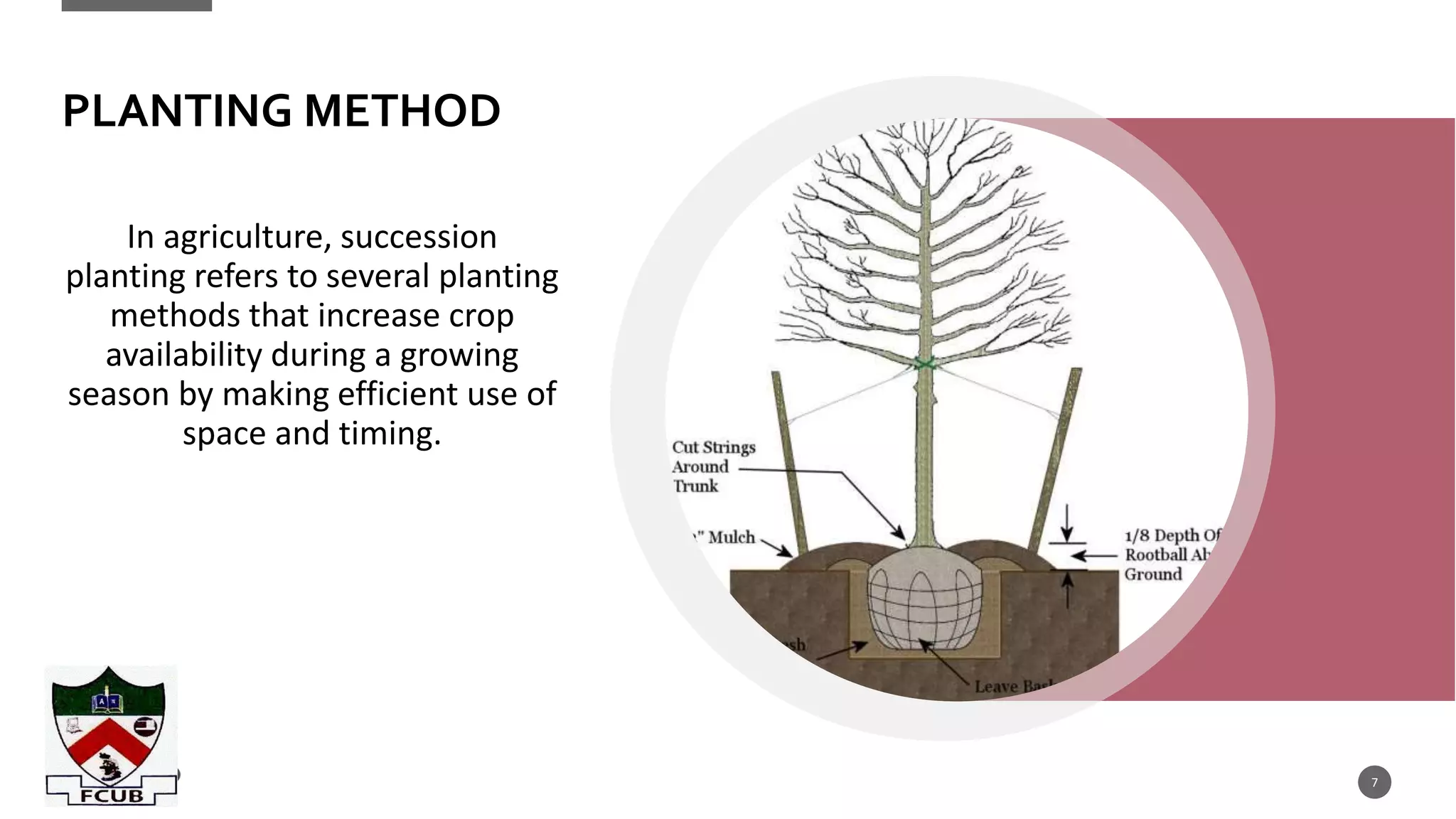 planting practices | PPT