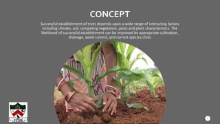 planting practices | PPTX