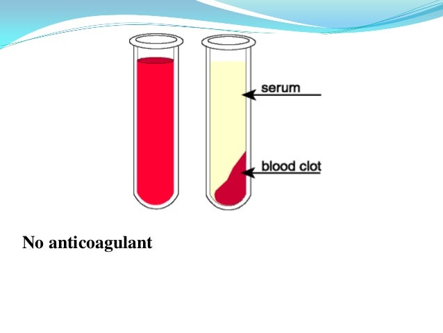 the diiference between serum and plasma