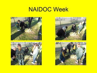 Naidoc week | PPT