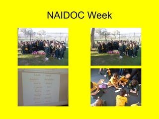 Naidoc week | PPT