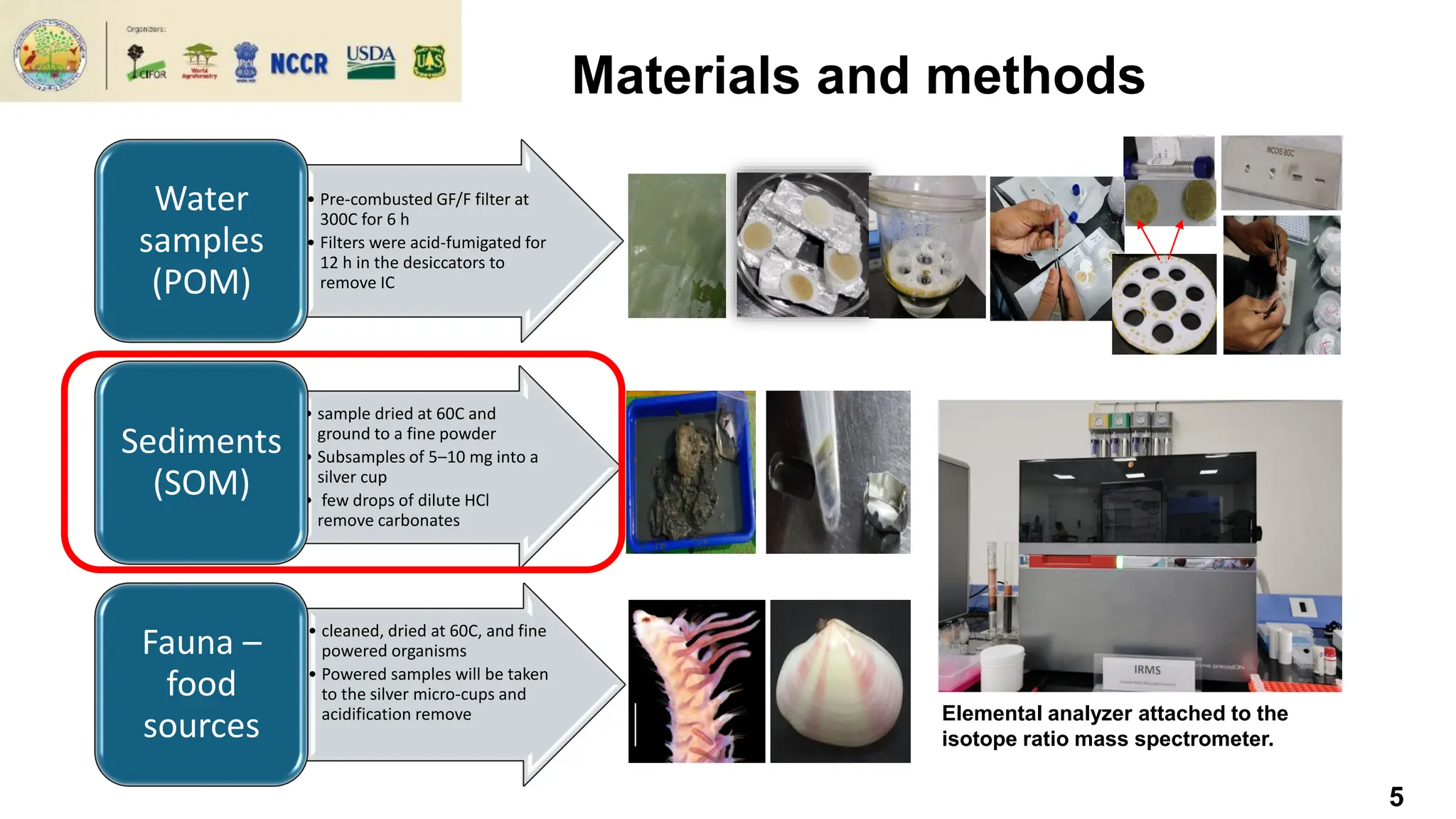 Stable Isotopes of Carbon and Nitrogen in Surface Sediments of Mangrove ...