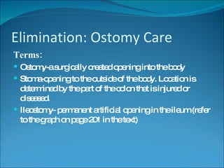 Na Ii Ppt Module 10 | PPT