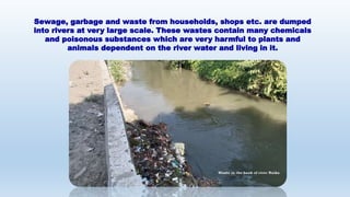 DEGRADATION OF THE RIVERINE ECOSYSTEM OF NAIKA RIVER | PPTX