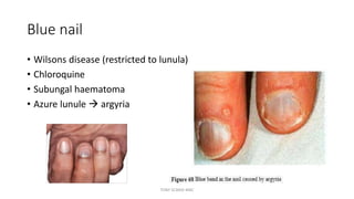 Nail DERMATOLOGY REVISION NOTES | PPT