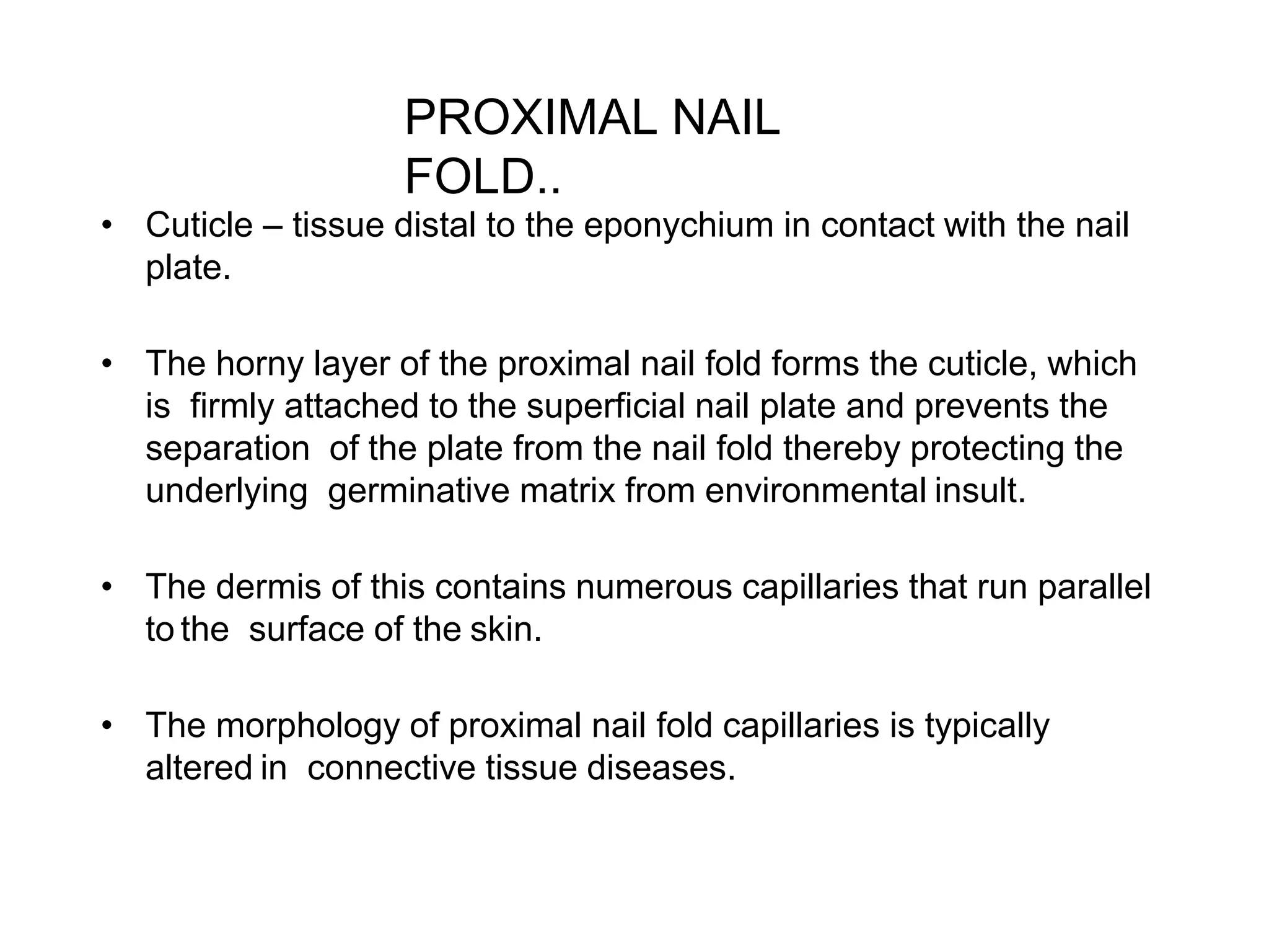 nail anatomy.pptx