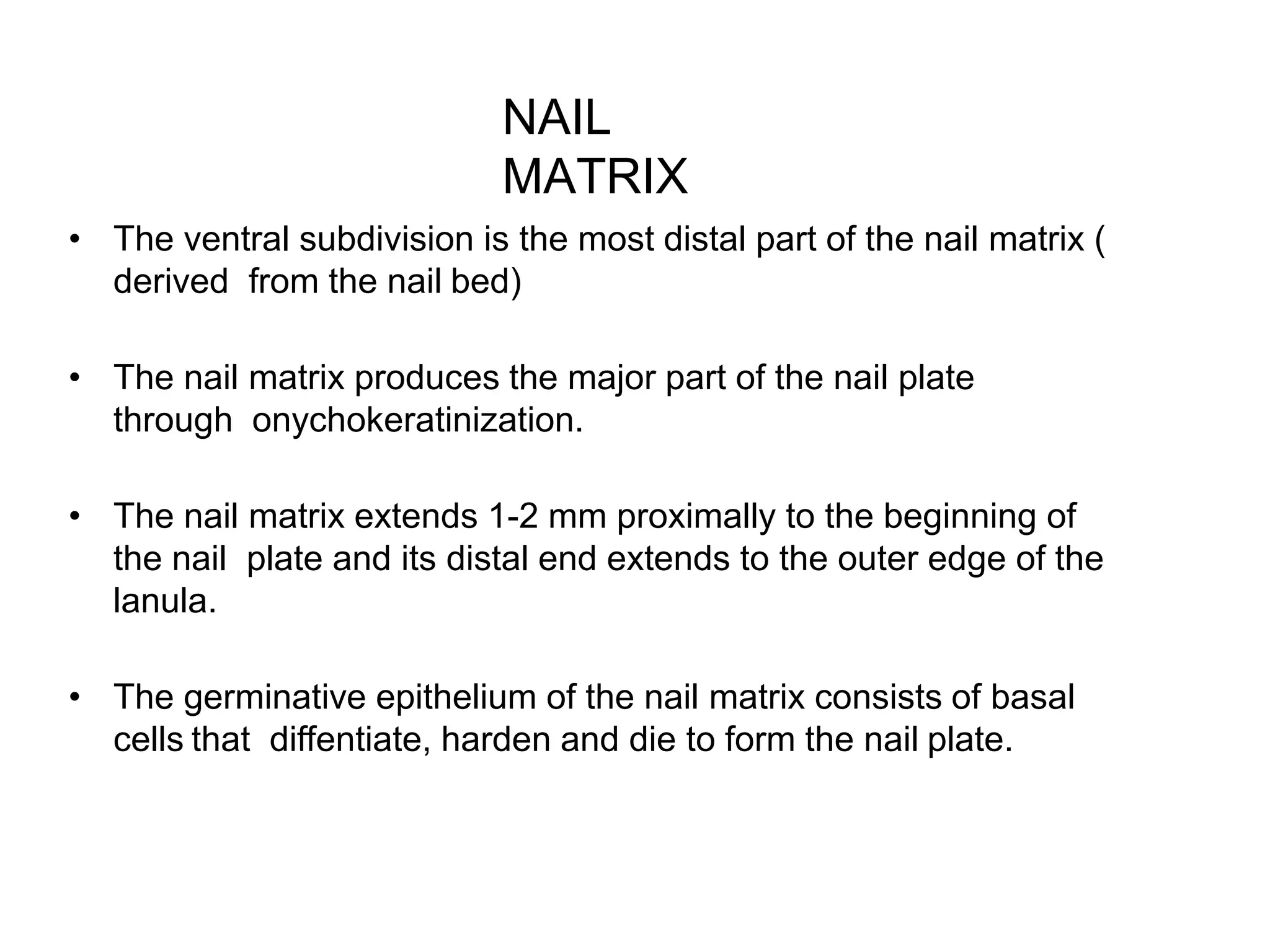 nail anatomy.pptx