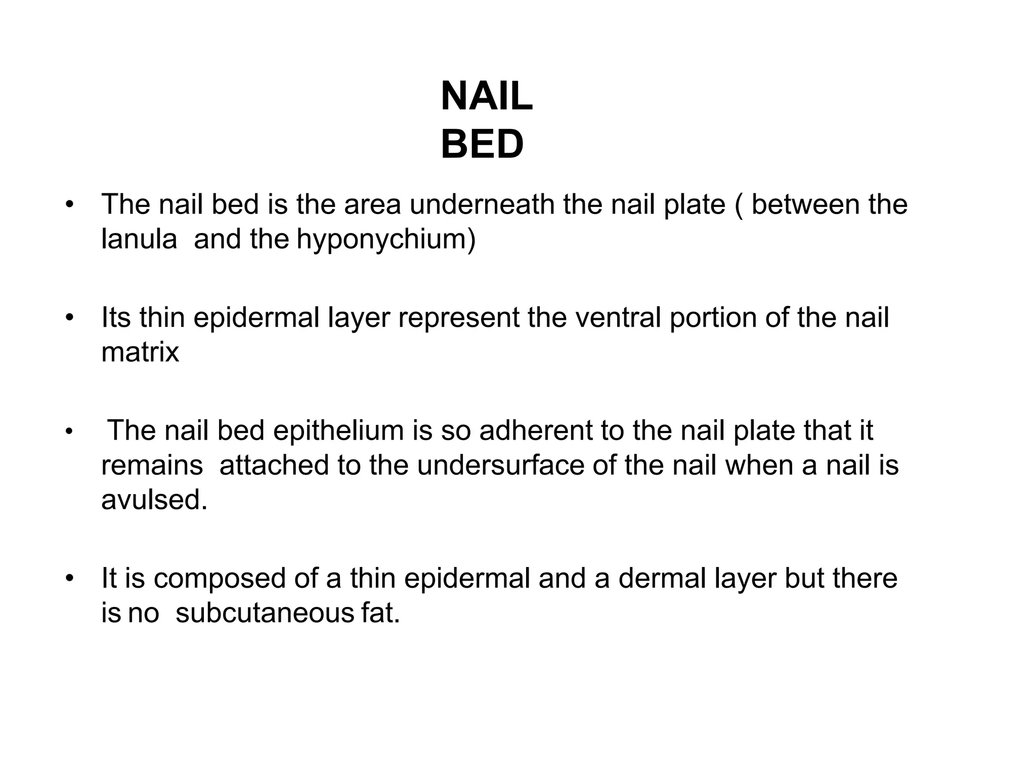 nail anatomy.pptx