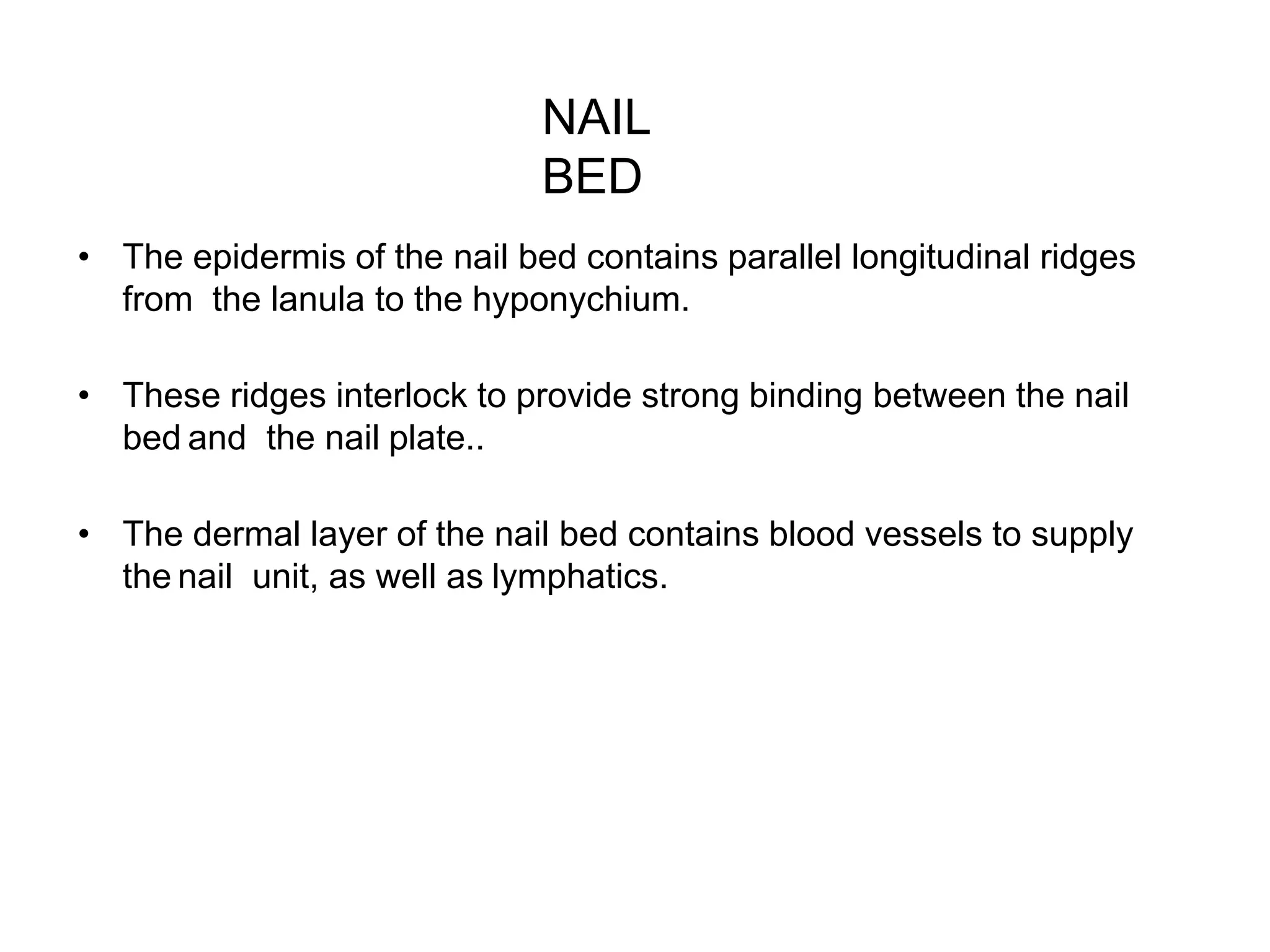 nail anatomy.pptx