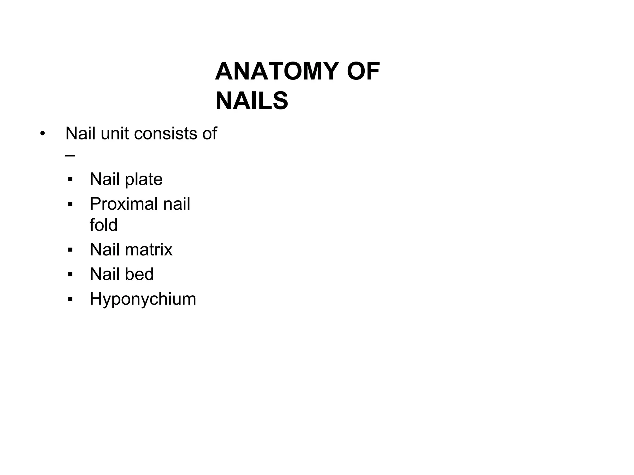 nail anatomy.pptx
