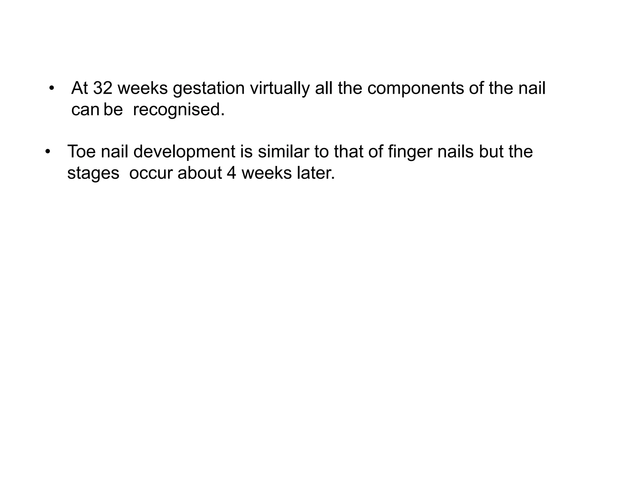 nail anatomy.pptx