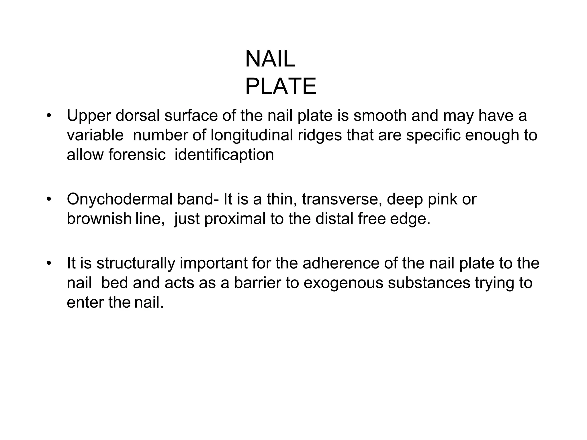 nail anatomy.pptx