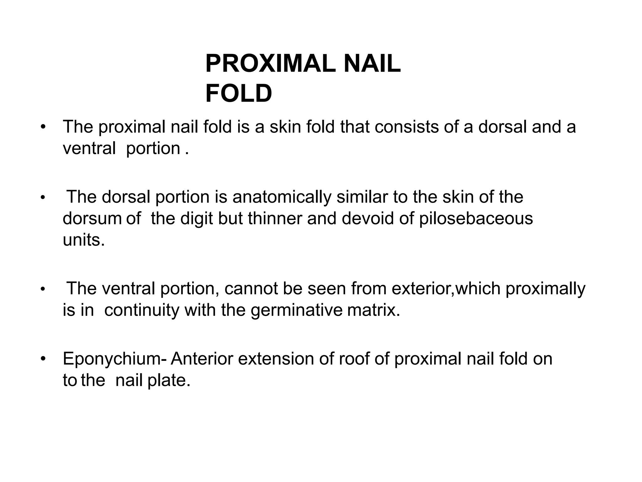 nail anatomy.pptx