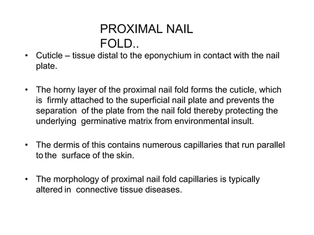 nail anatomy.pptx