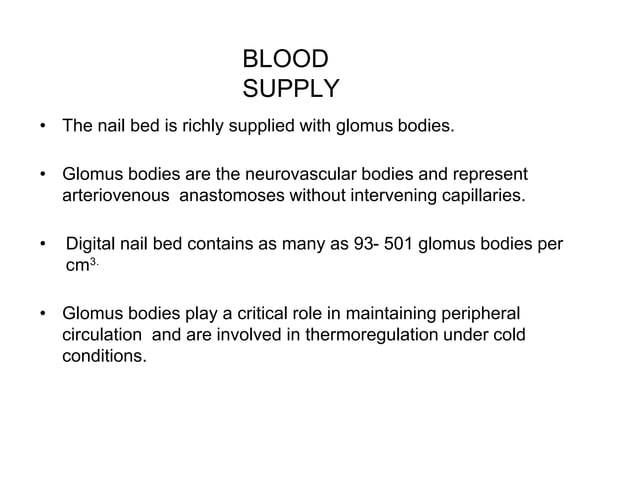 nail anatomy.pptx
