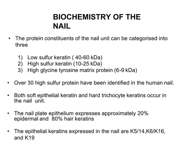 nail anatomy.pptx