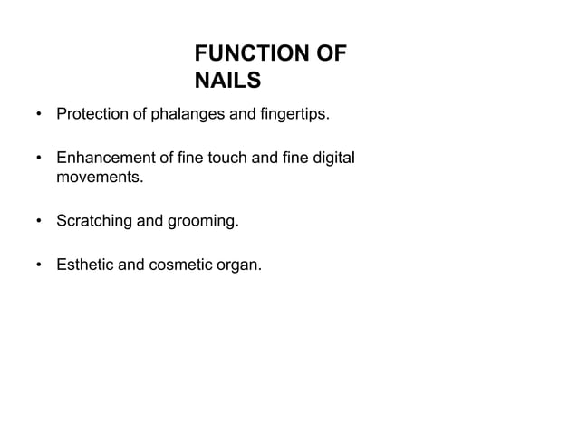 nail anatomy.pptx