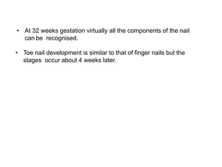 nail anatomy.pptx
