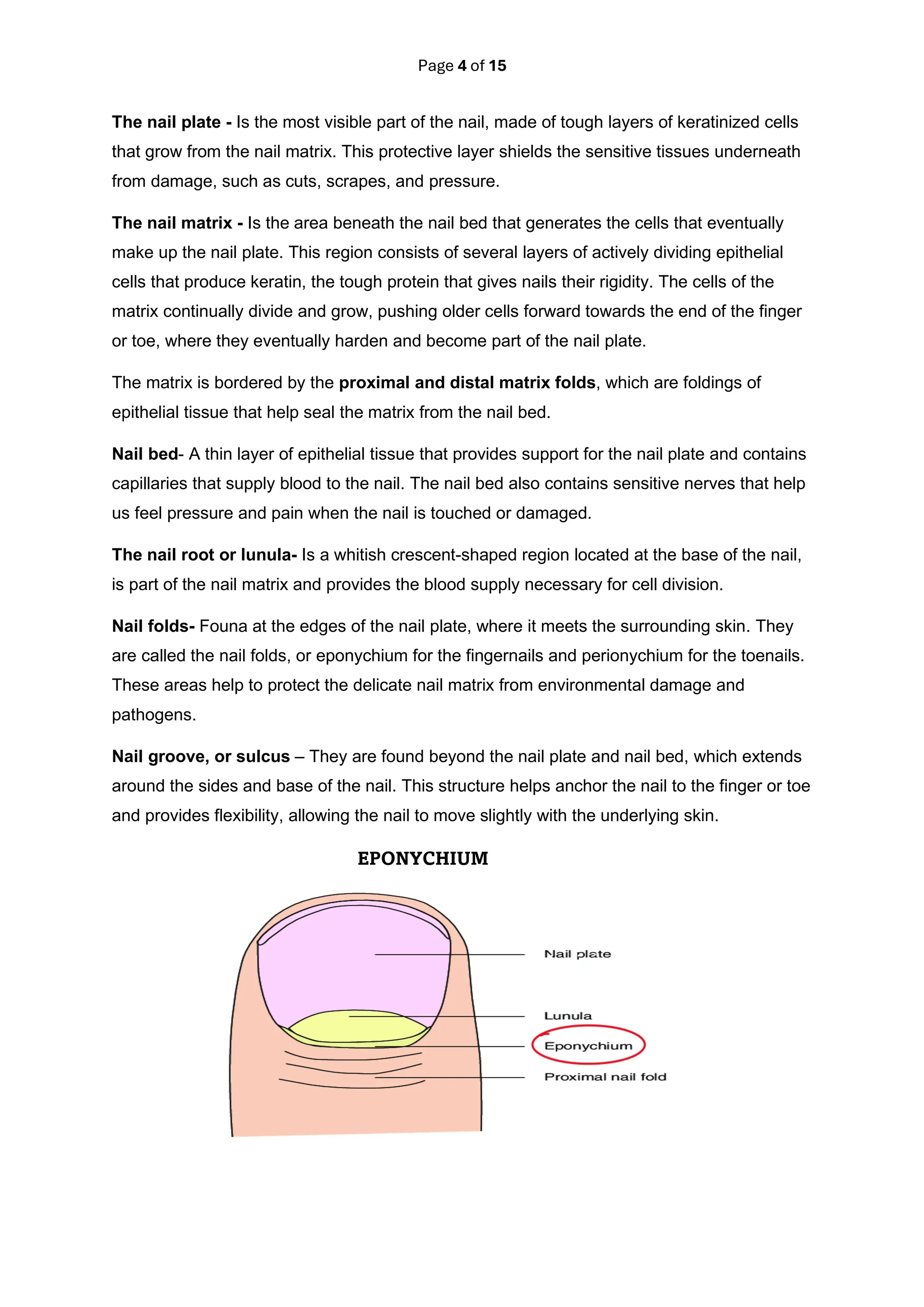 NAIL ANATOMY including functions and cultural influence.pdf