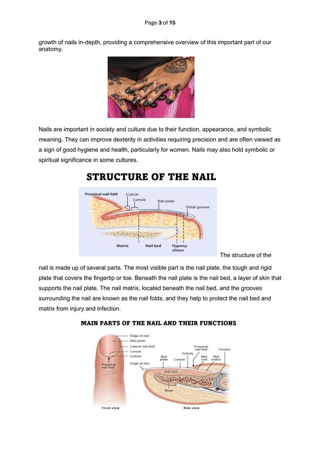 NAIL ANATOMY including functions and cultural influence.pdf