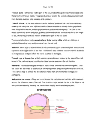 NAIL ANATOMY including functions and cultural influence.pdf