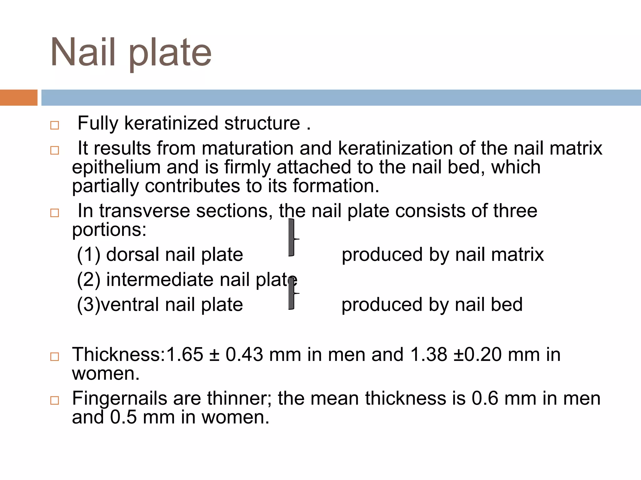 Nail anatomy and its disorders | PPTX
