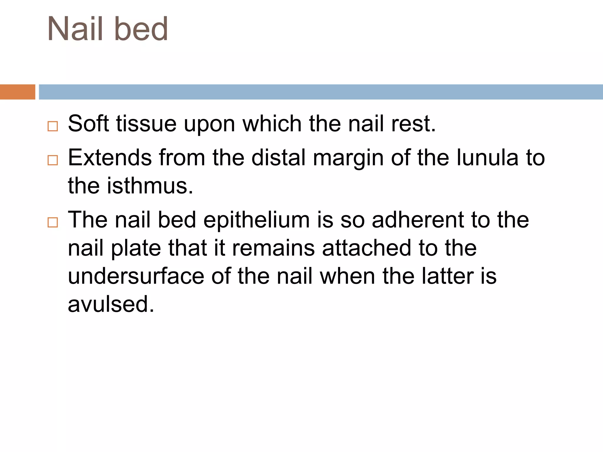 Nail anatomy and its disorders | PPTX