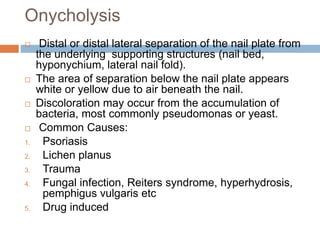 Nail anatomy and its disorders | PPTX