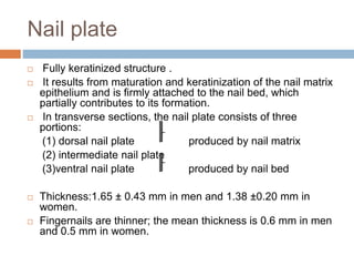 Nail anatomy and its disorders | PPTX