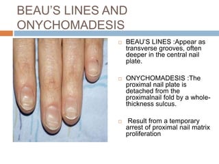 Nail anatomy and its disorders | PPT