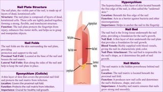 Nail Anatomy and it's Techniques , Nail Kit and tools (by Mavra and ...