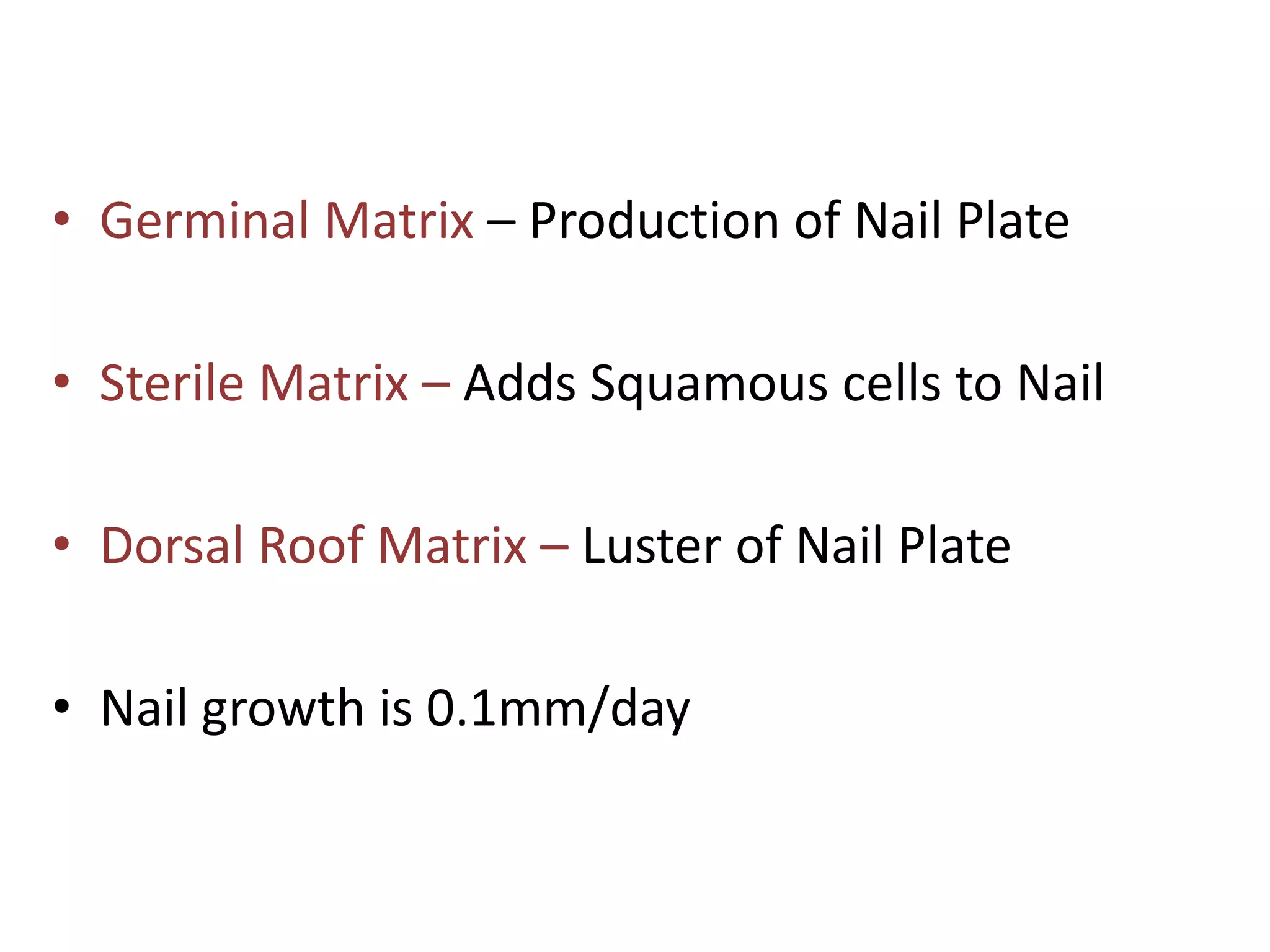 Nail bed injury | PPTX